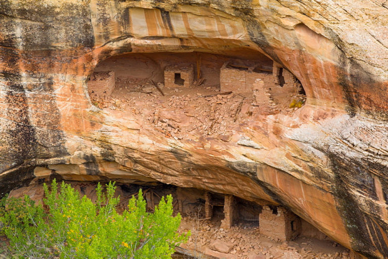 The Anasazi – Anasazi Chapter, NSDAR